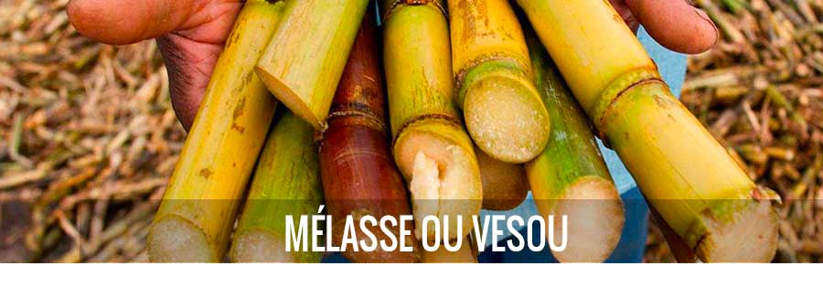 Rumporter - Le magazine de la culture Rhum